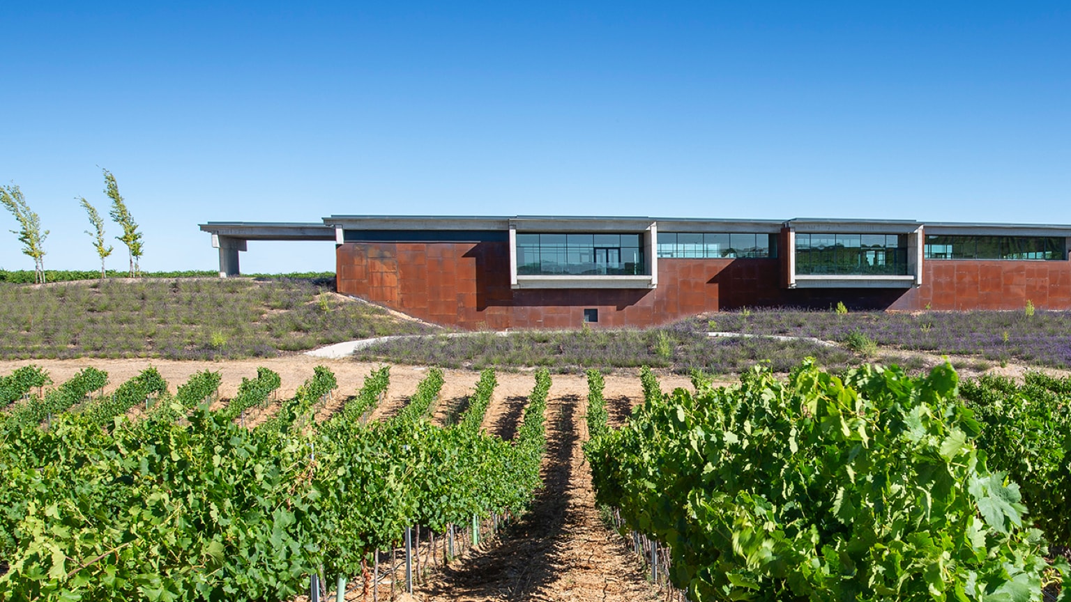 Bodega Sostenible | Beronia